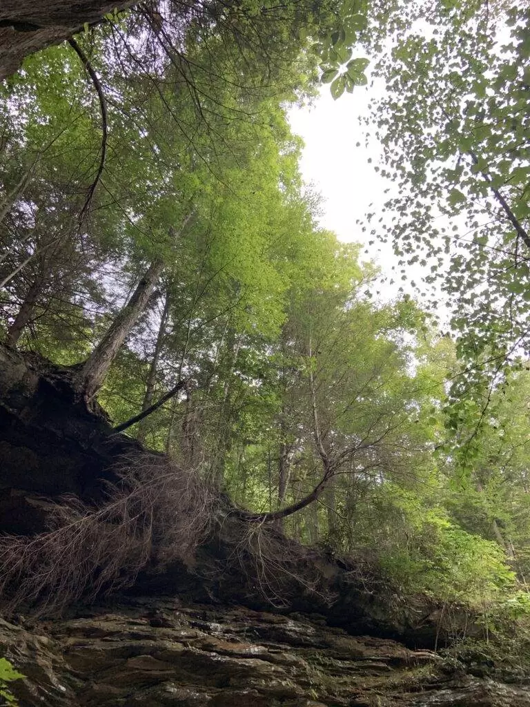 Exploring The Natural Wonders: Rock Formations In Red River Gorge ...